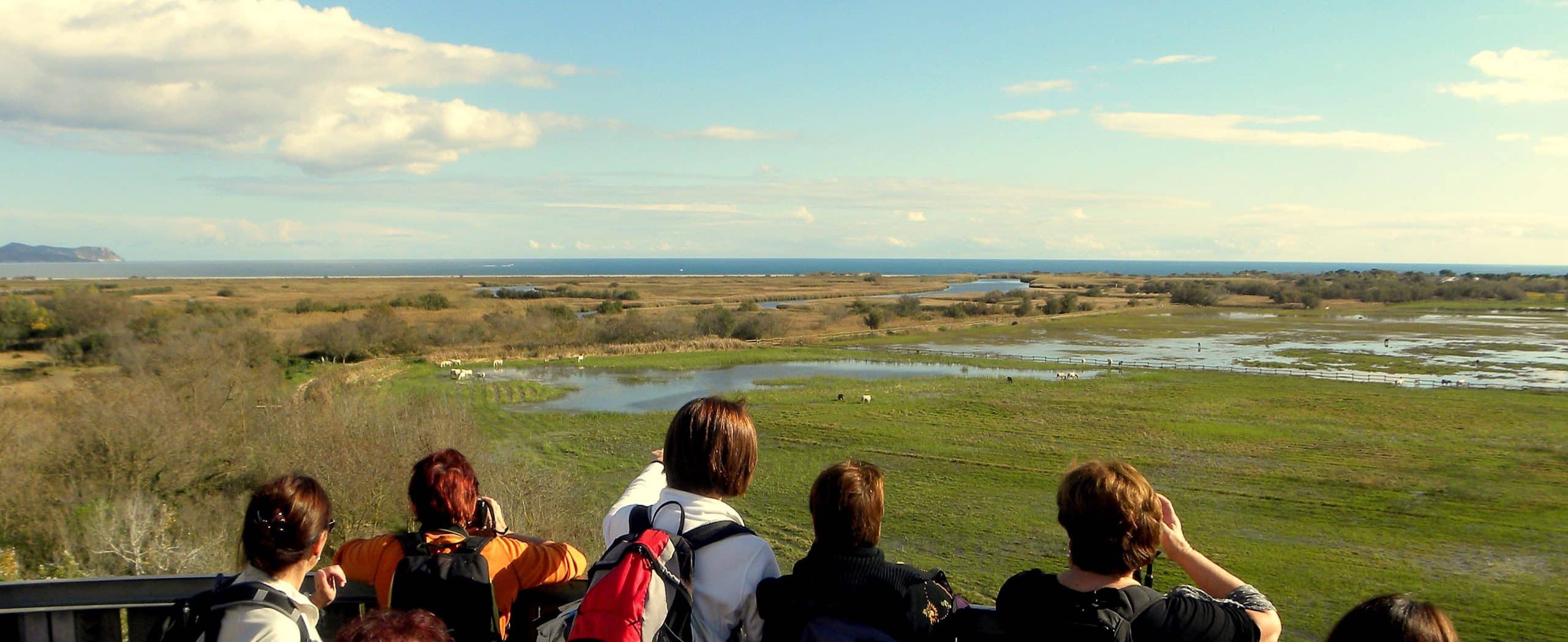 Els Aiguamolls de l’Empordà. La bellesa de l’hivern a la Badia de Roses