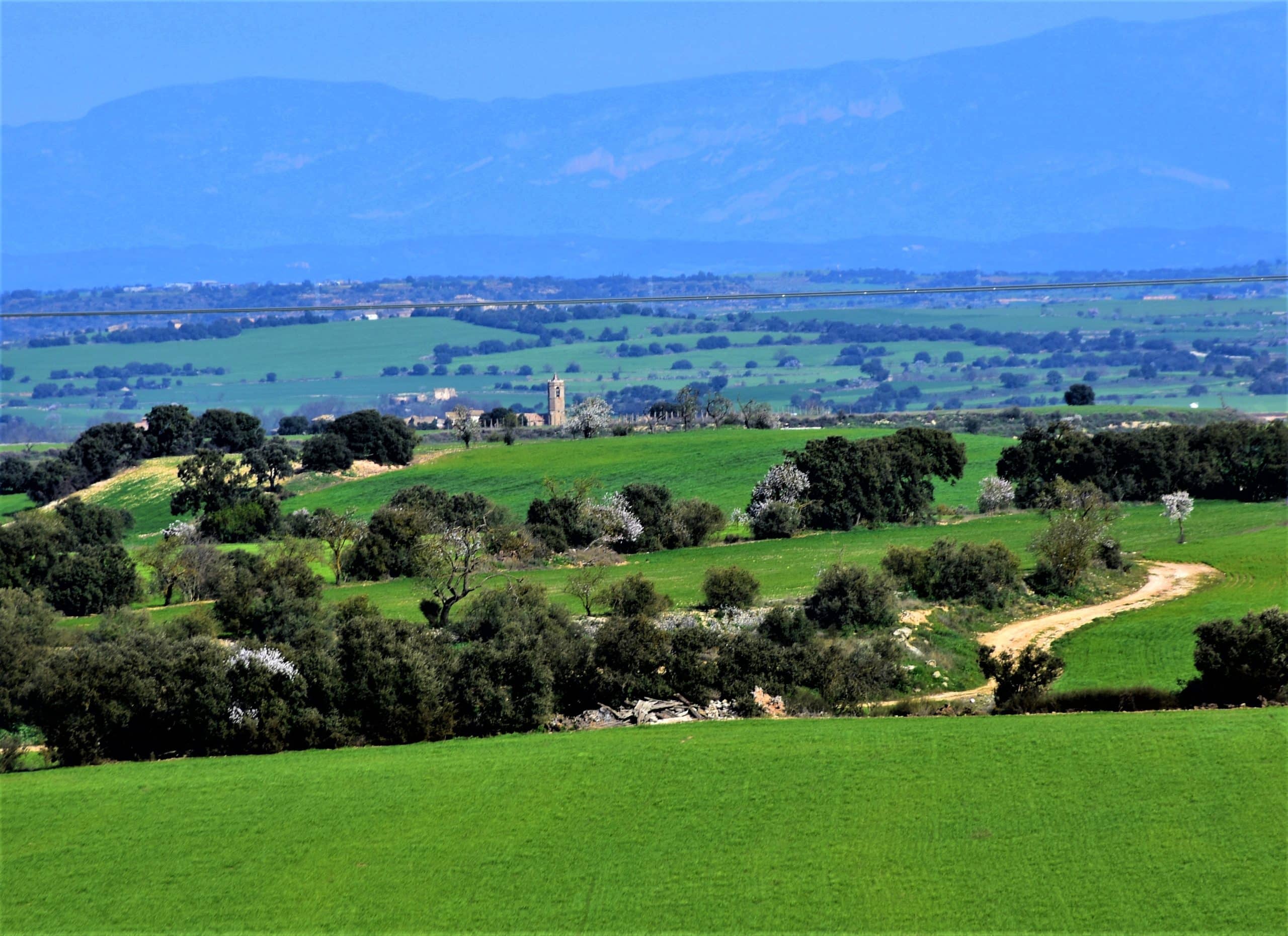 Marxa Nòrdica a la Segarra - Camps de Cereals - Centre Europeu